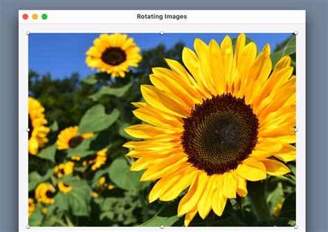Rotate That Picture Xojo Programming Blog