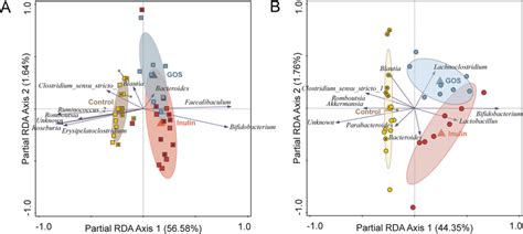 Effect Of Prebiotic Supplementation Depending On The Dietary Calcium