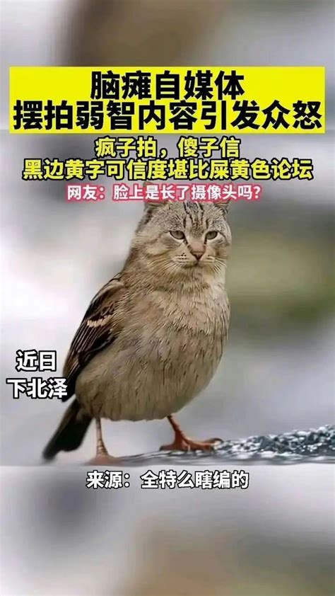 Iphone完蛋了？ Nga玩家社区
