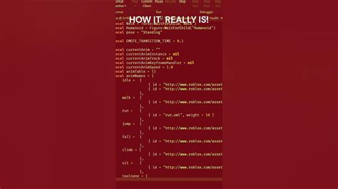 How Coding Is Expectation Vs Reality Youtube