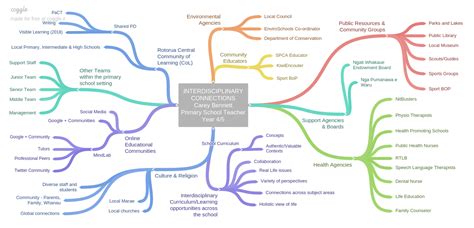Current And Potential Interdisciplinary Connections Reflective Journal
