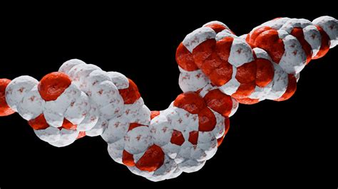 Rutgers Launches Center To Tackle Barriers To Weight Loss And Other Causes Of Disease Rutgers