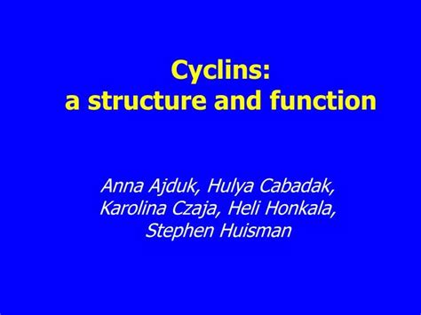 Ppt Cyclins A Structure And Function Powerpoint Presentation Free Download Id 3008188