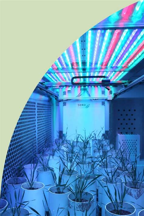 Plant Phenomics Plant Phenotyping Tools And Research