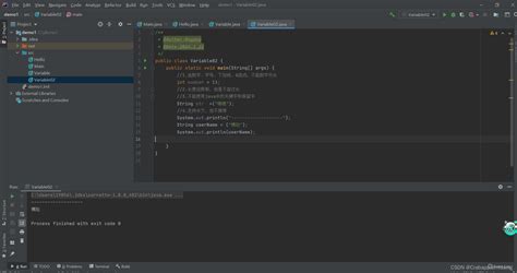 java软件实训day1 csdn博客