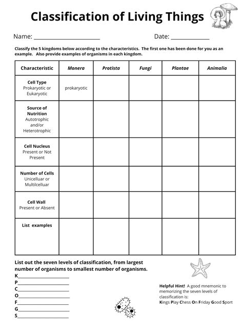Classifying Organisms Worksheet Etsy