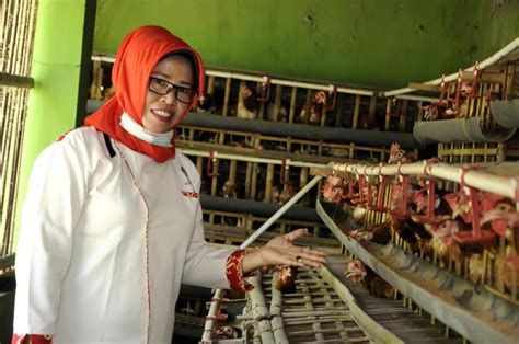 Kelompok Usaha Bersama Kulon Progo Mampu Meningkatkan Pendapatan Dan