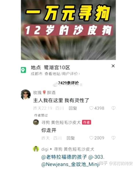 哈哈哈哈哈哈，笑到肚子痛的神回复 知乎