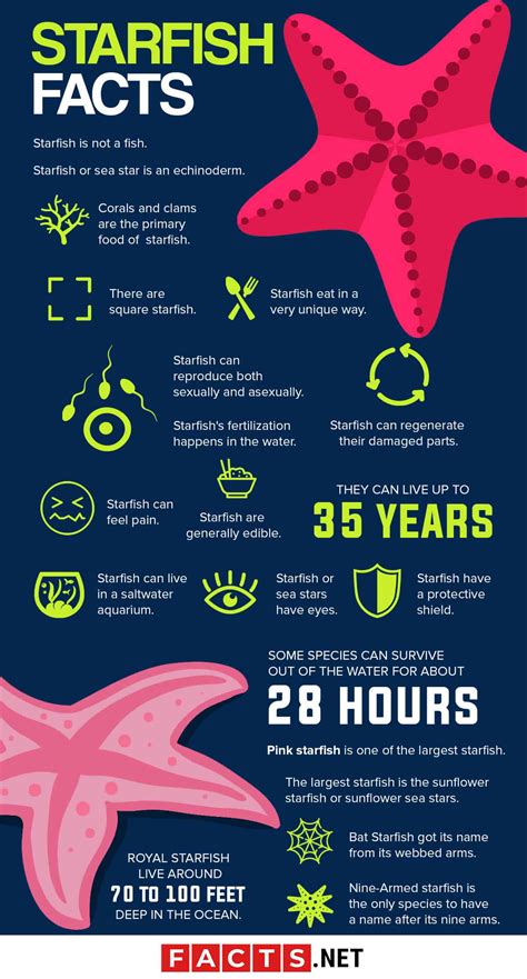 40 Quirky Starfish Facts That May Surprise You Facts Net