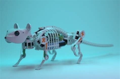 Researchers Develop Highly Flexible And Agile Robotic Mouse
