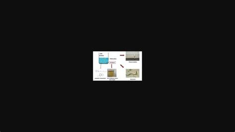 European Journal Of Lipid Science And