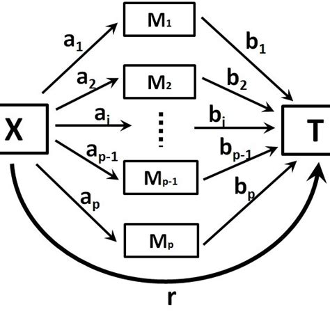 Single Mediator Models Download Scientific Diagram