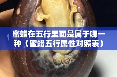 蜜蜡在五行里面是属于哪一种蜜蜡五行属性对照表 材质种类 国石之家