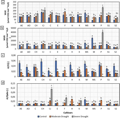 a wue intrinsic water use efficiency in leaves a gsw µmol co2