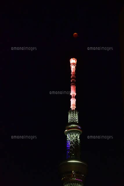 墨田区役所前より皆既月食とライトアップの東京スカイツリーの写真素材 FYI07432218 ストックフォトの Qlean Market