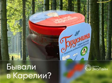 Бывали в Карелии? | Группа ЭкоЛайн | Дзен