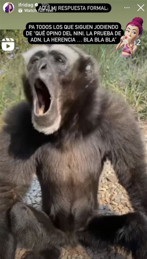 Frida Sofía Reacciona A Polémica De Luis Enrique Guzmán Y Lo Llama