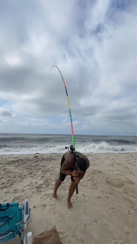 Montage Empile Basse Dorade Surfcasting Artofit