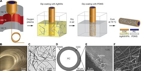 Neural Probes For The Spinal Cord Kurzweil