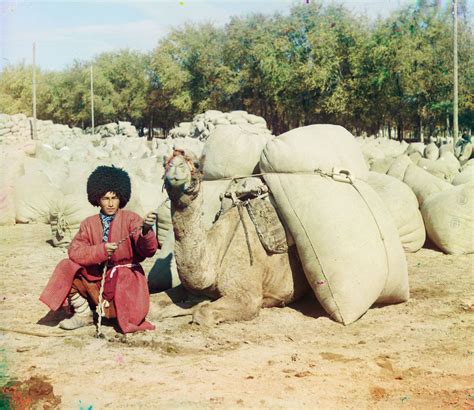 Turkmen Central Asia Nomadic Herding Britannica