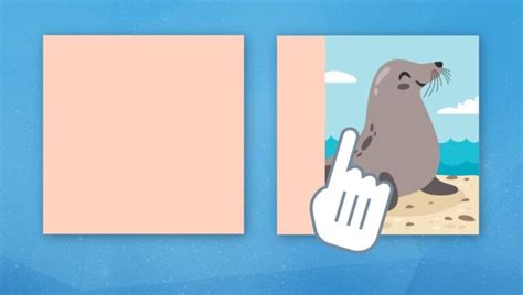 How To Add A Css Reveal Animation To Your Images — Sitepoint