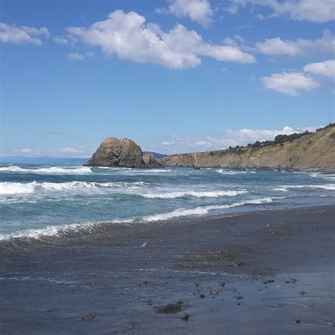 Carey Joy Cassidy Youtube