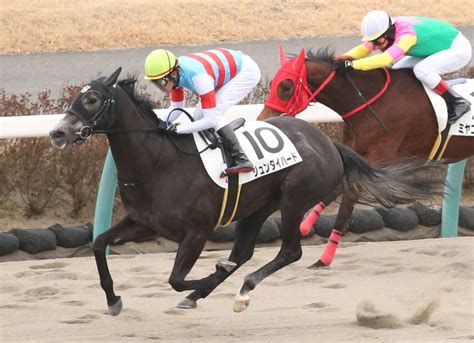 【新馬中山4r】エイシンヒカリ産駒 ジュンダイハードがデビューv 競馬ニュースなら競馬のおはなし