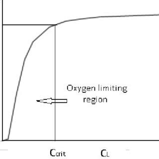 PDF Oxygen Mass Transfer Coefficient Application In Characterisation