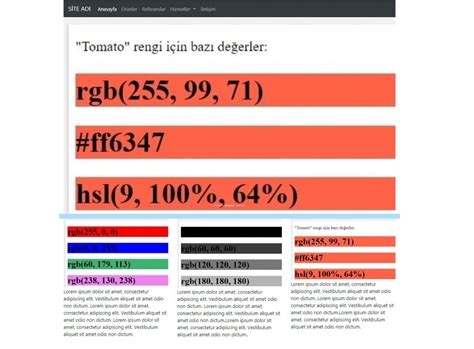 bootstrap tasarım Örnekleri 2 tasarım kodlama