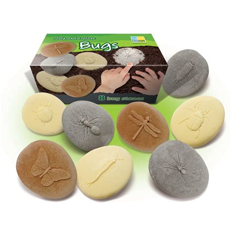 Lets Investigate Bugs Nunu Educational Products Inc