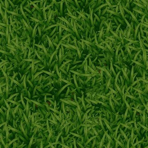 Texture Painting Grass Textures Digital Texture