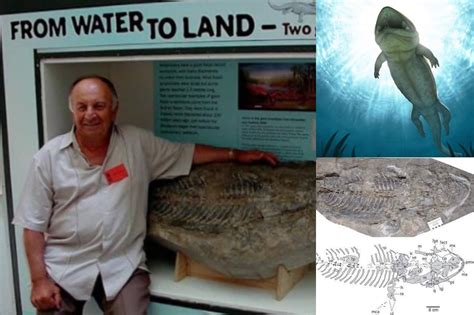 240 Million Year Old Fossil Unearthed By Mihail Mihailidis Rewrites