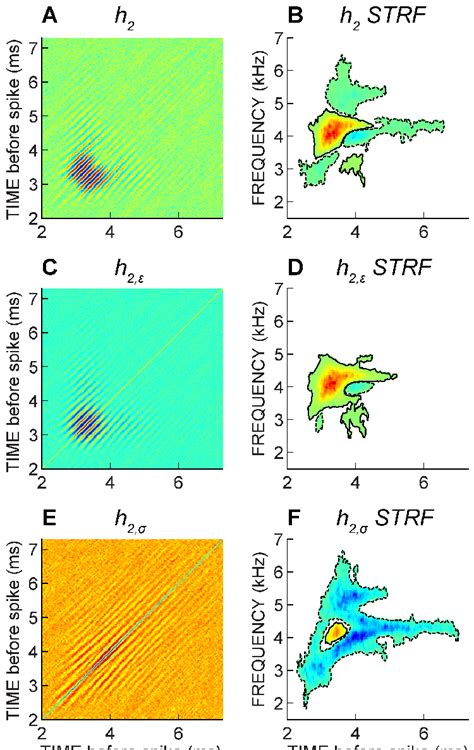 Second Order Wiener Kernel Excitatory And Suppressive Sub Kernels And Download Scientific