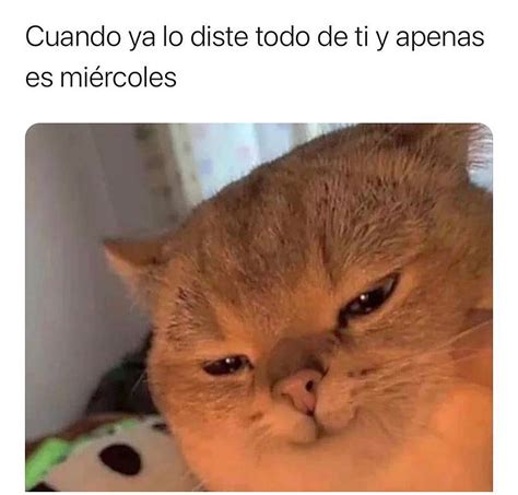 Cuando ya lo diste todo de ti y apenas es miércoles Memes