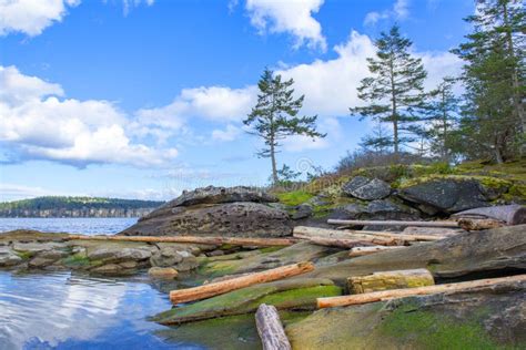 Scenic View Of Jack Point And Biggs Park In Nanaimo British Columbia
