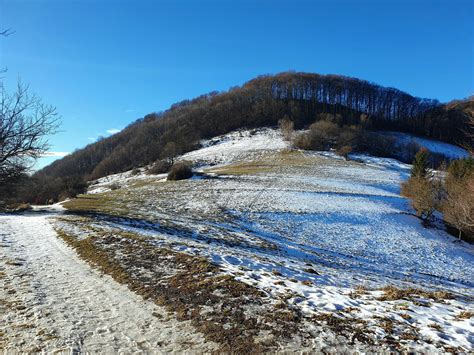 December Collection 14 By Tinacodes On Deviantart