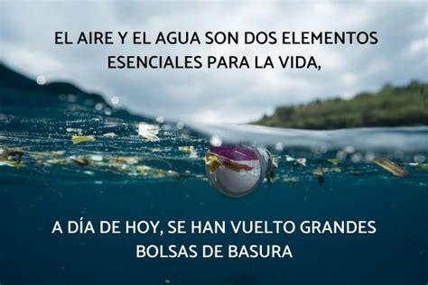 80 Frases De Reciclaje Las Mejores Frases Sobre Reciclaje Con FOTOS