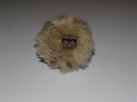 Printing In 3d Pygmy Puff