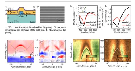 Surface Plasmon Driven Enhancement Of Linear And Nonlinear Magneto Optical Kerr Effects In