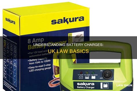 Understanding Battery Charges Uk Law Basics Lawshun