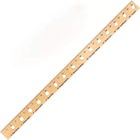 Régua De Planta Dobrável De Madeira De 31 Polegadas Para Tra Parcelamento Sem Juros