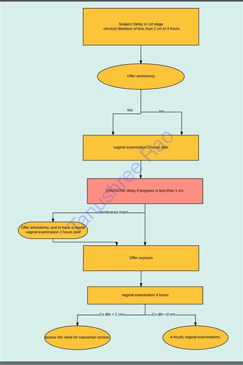 Intrapartum Guidelines Medgyne