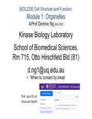 Understanding Cell Organelles: Structure, Function, and Proteins | Course Hero