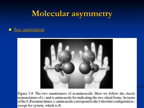 Ppt Exploring Self Organizing Bio Structures And Nanotechnology Inspiration Powerpoint