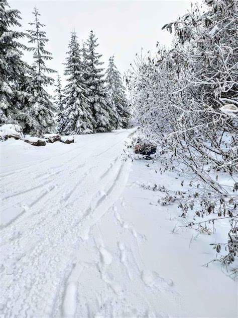 Lone Tree Mountain Washington GPS Trail Map Conditions Difficulty