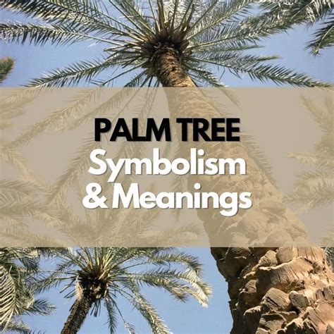 Palm Tree Symbolism Bible At Archie Cowley Blog