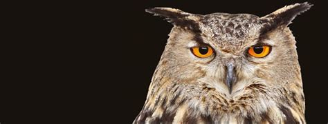 Market Economicoutlook Property Brokers Specialistlending Bridgingfinance Sundeep Patel