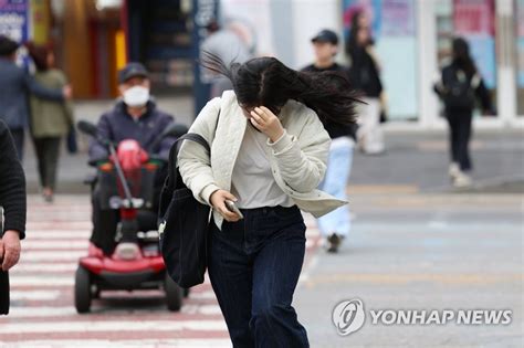 내일 아침기온 5도 밑으로초고농도 황사 전국 뒤덮어 나무뉴스