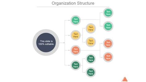 Organization Structure Ppt PowerPoint Presentation Infographic Template