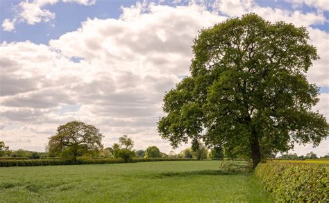 Visit Haxby The Expert Town Guide To Things To Do Stay And Eat